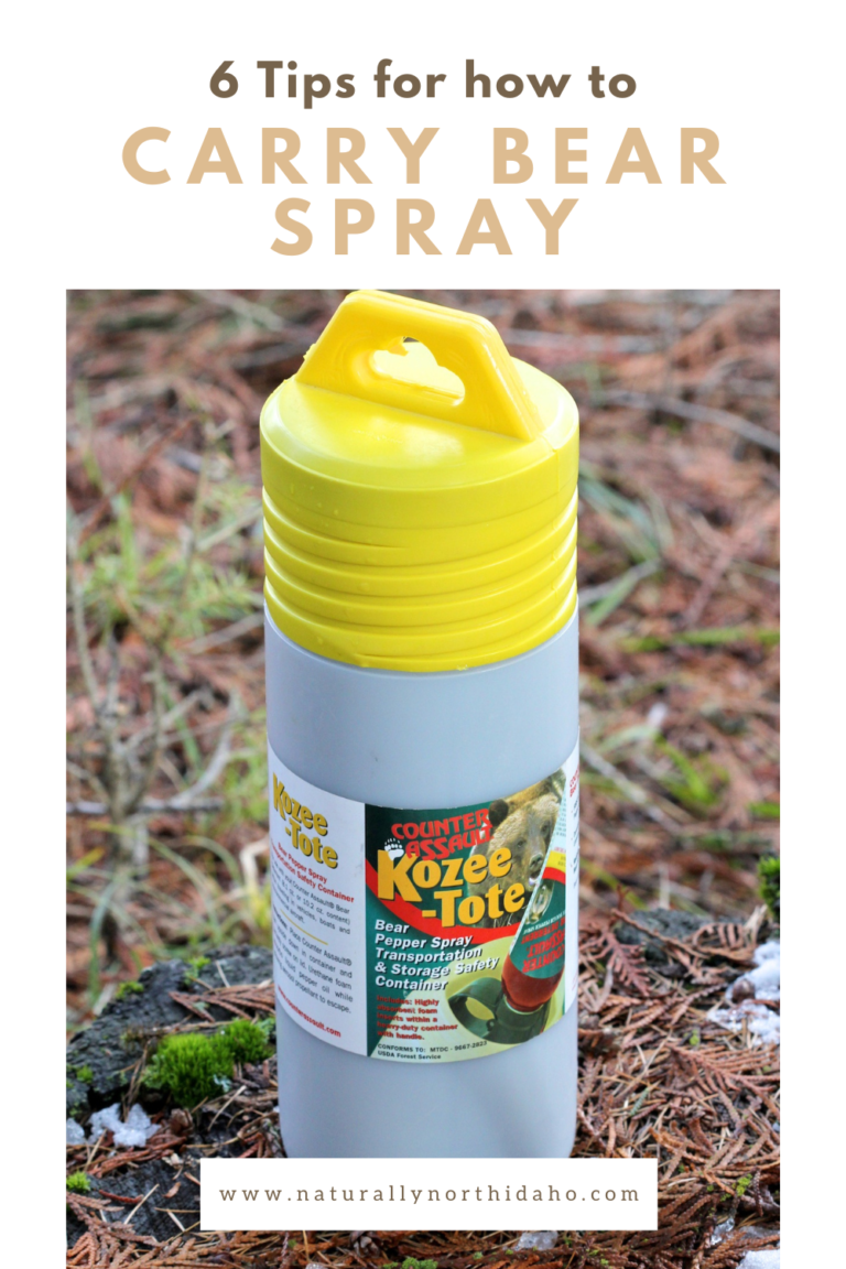 6 Tips for how to carry bear spray in bear country - Naturally North Idaho