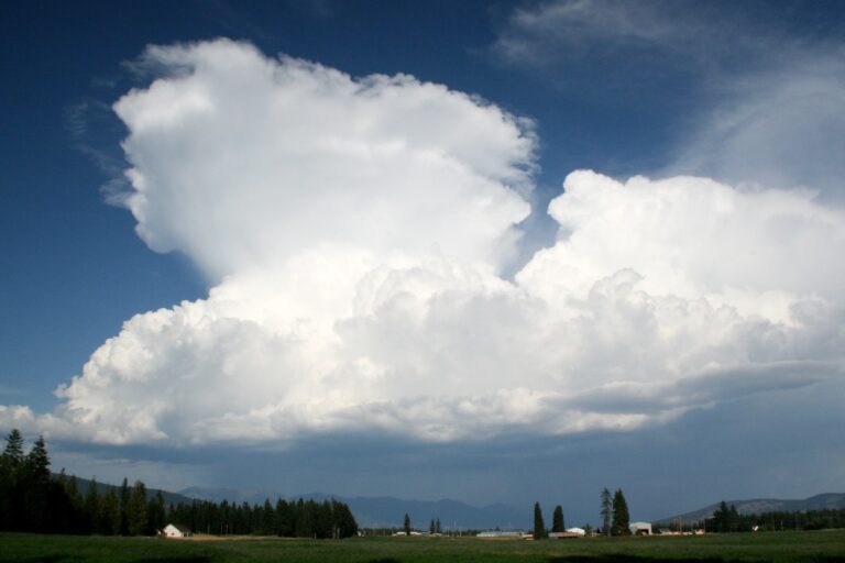 Life of a raindrop: Why are raindrops big and small? - Naturally North ...