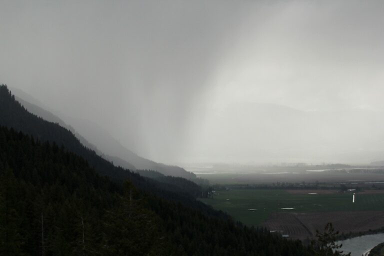 Life of a raindrop: Why are raindrops big and small? - Naturally North ...